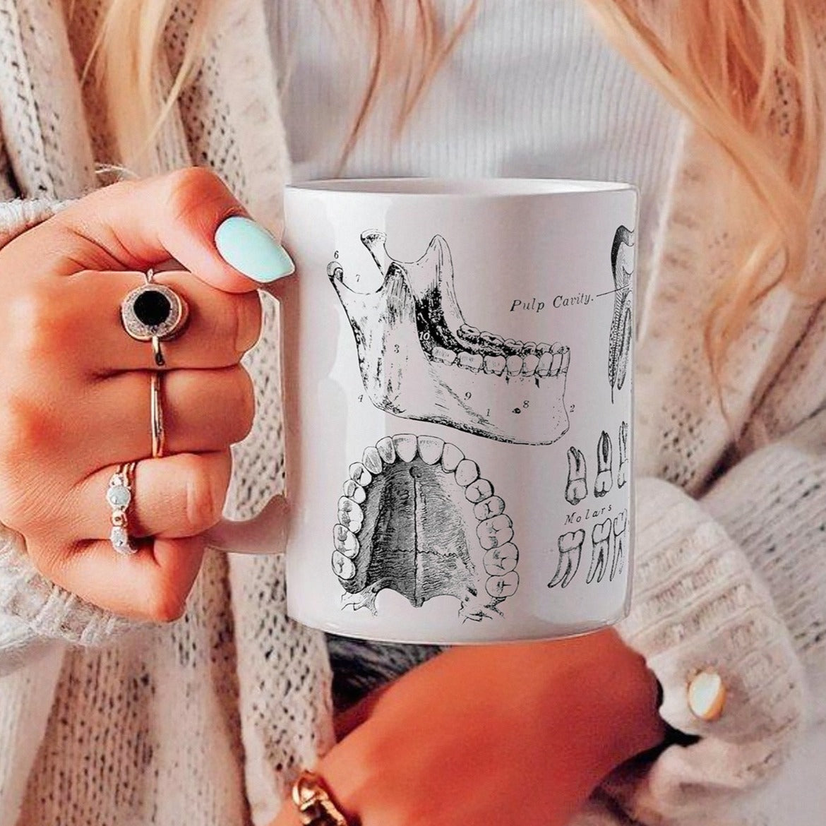 Dental Anatomy Mug – Shift Drip Co.